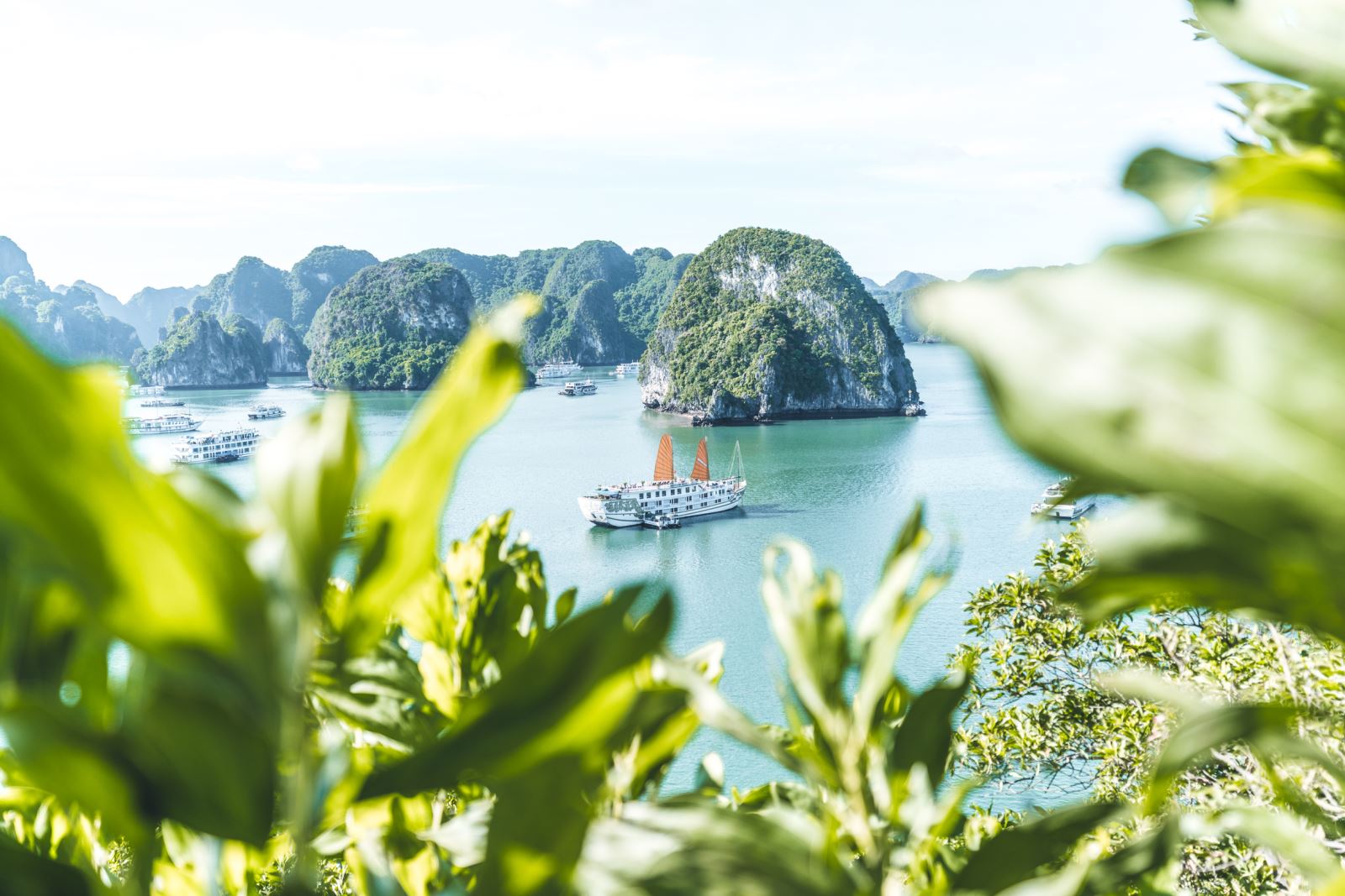 Overnight Cruise on Halong Bay | Indochina Sails ® Official